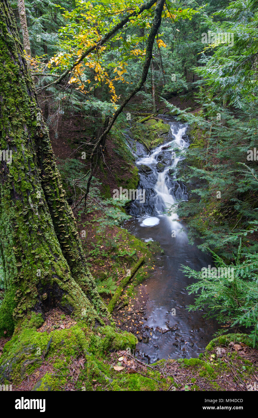 Little Union River Gorge, Porcupine Mountains SP, MI, USA, Late ...