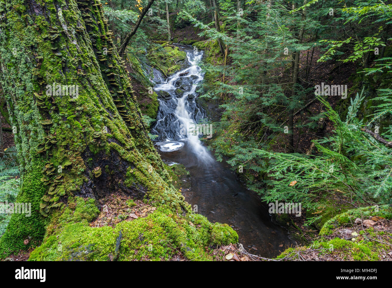 Little Union River Gorge, Porcupine Mountains SP, MI, USA, Late ...