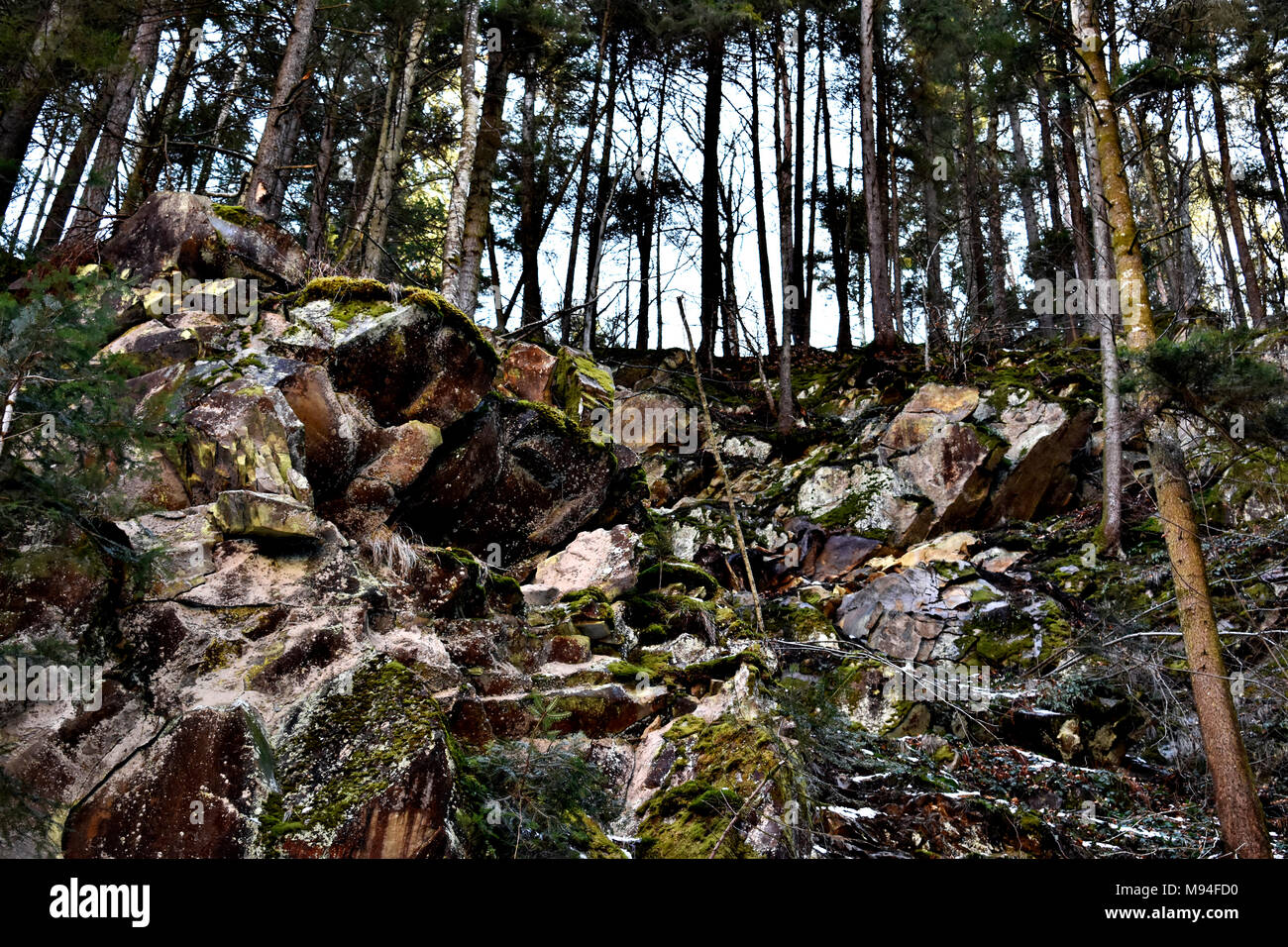 Amazing nature photography Stock Photo - Alamy