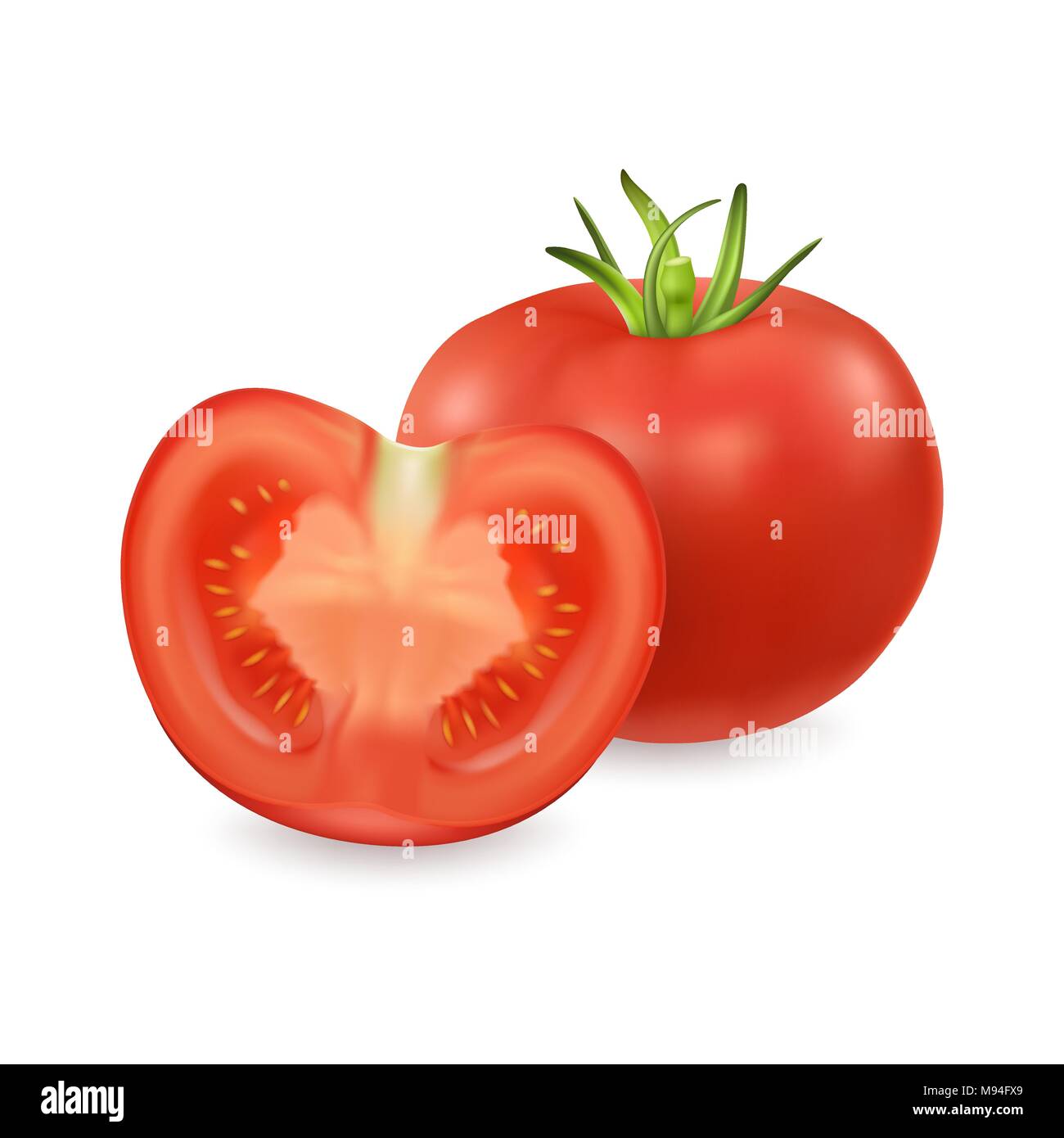 Tomato slice sliced half tomatoes Stock Vector Images - Alamy