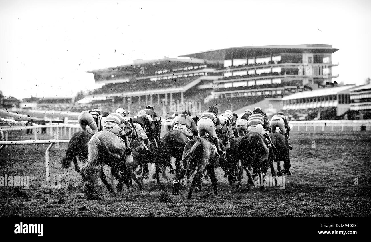Cheltenham gold cup general Black and White Stock Photos & Images - Alamy