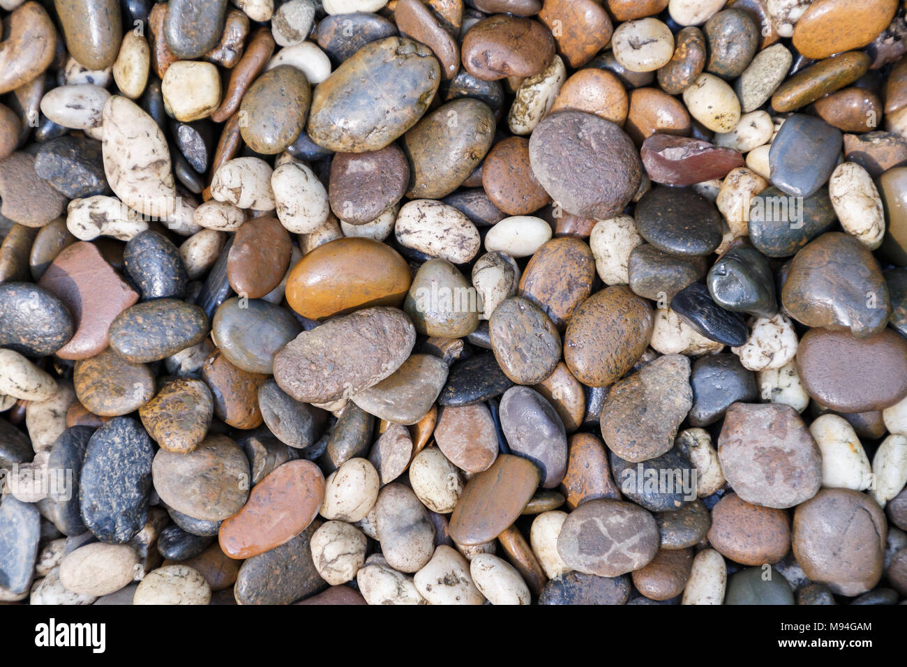 Stone pebbles texture or stone pebbles background. stone pebbles for ...
