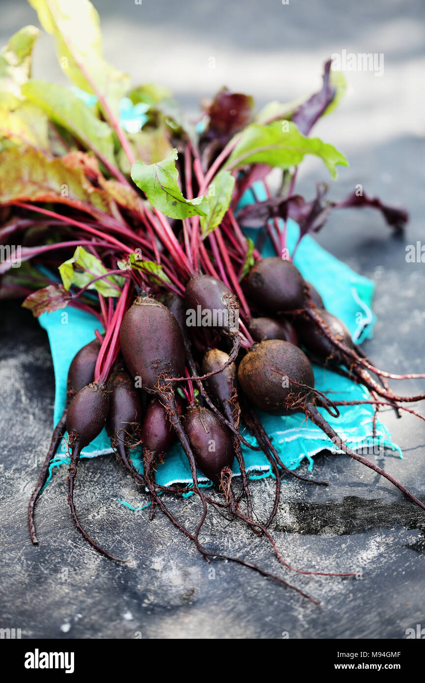 Beets with green tops Stock Photo - Alamy