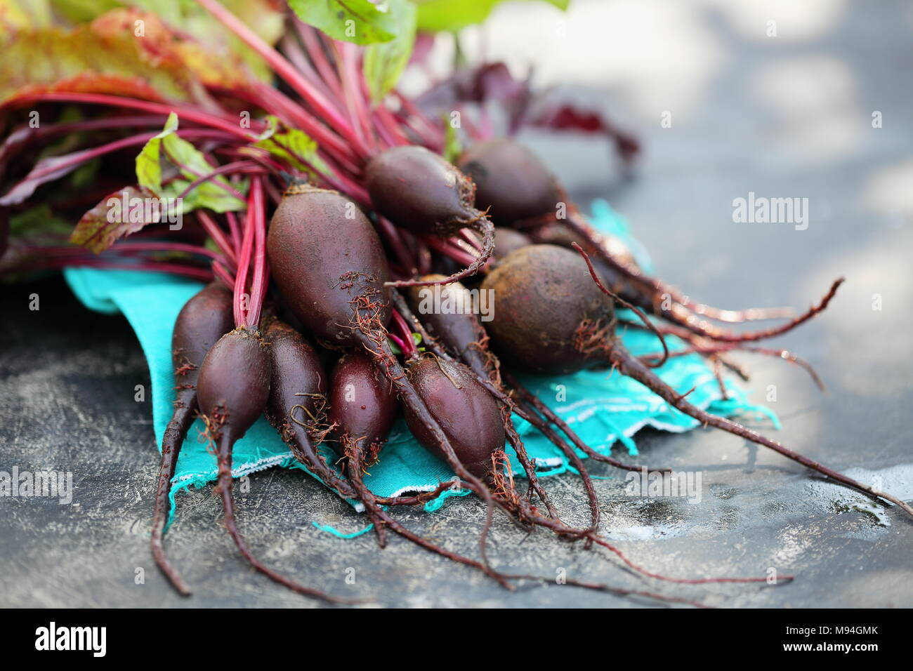 Fresh beets with tops Stock Photo - Alamy
