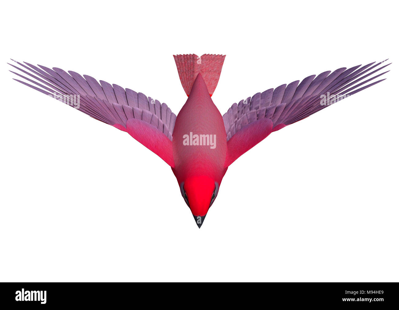 3D rendering of a flying bird tanager isolated on white background ...