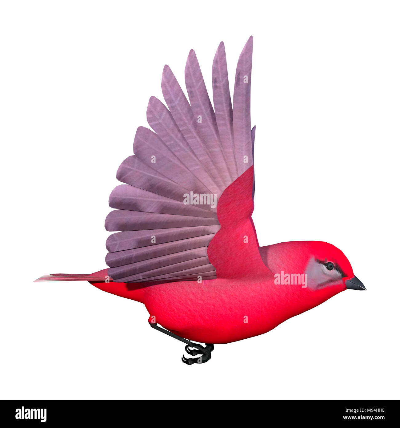 3D rendering of a flying bird tanager isolated on white background Stock Photo - Alamy