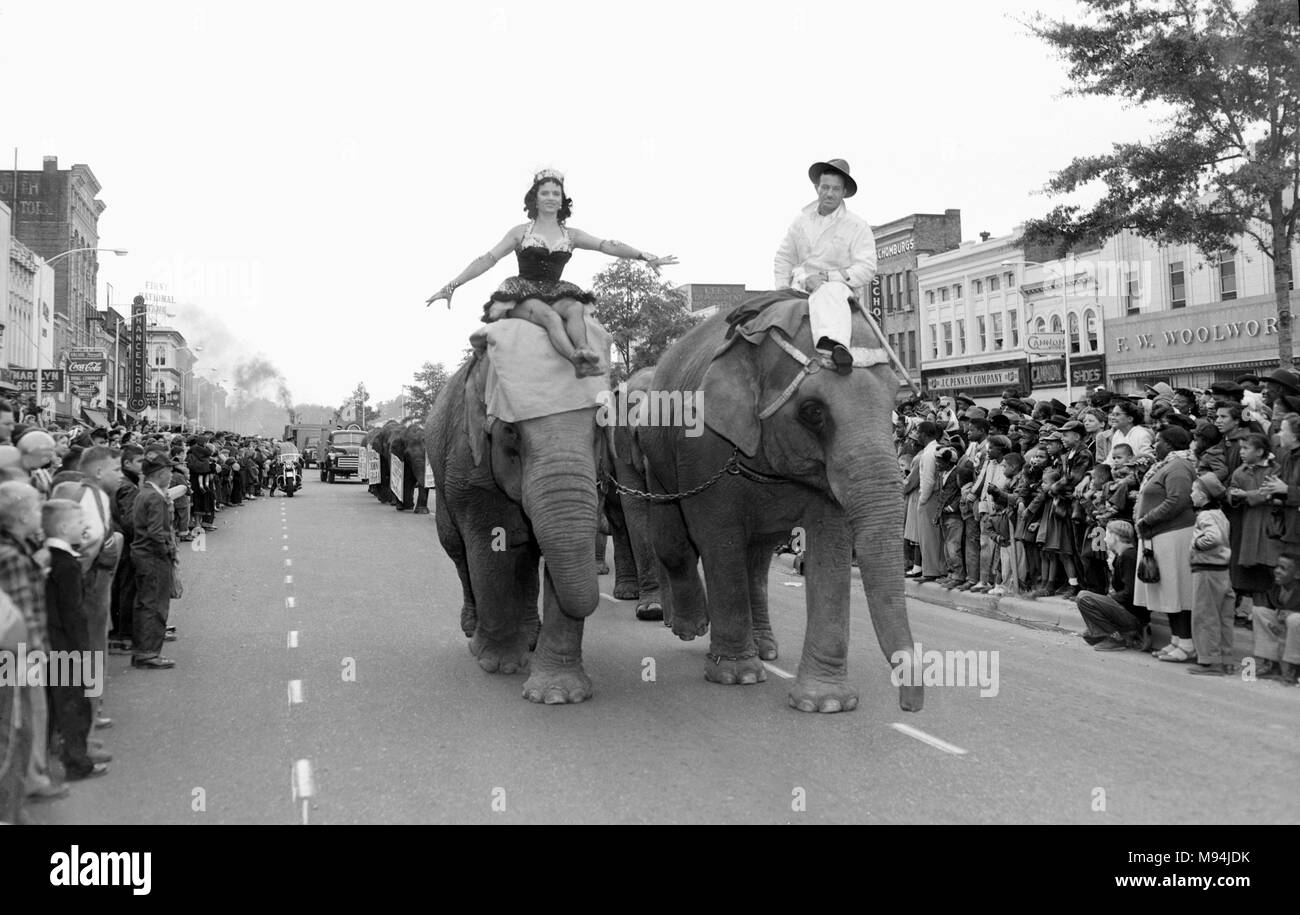 Elephants lead the circus parade down the main street of Columbus ...