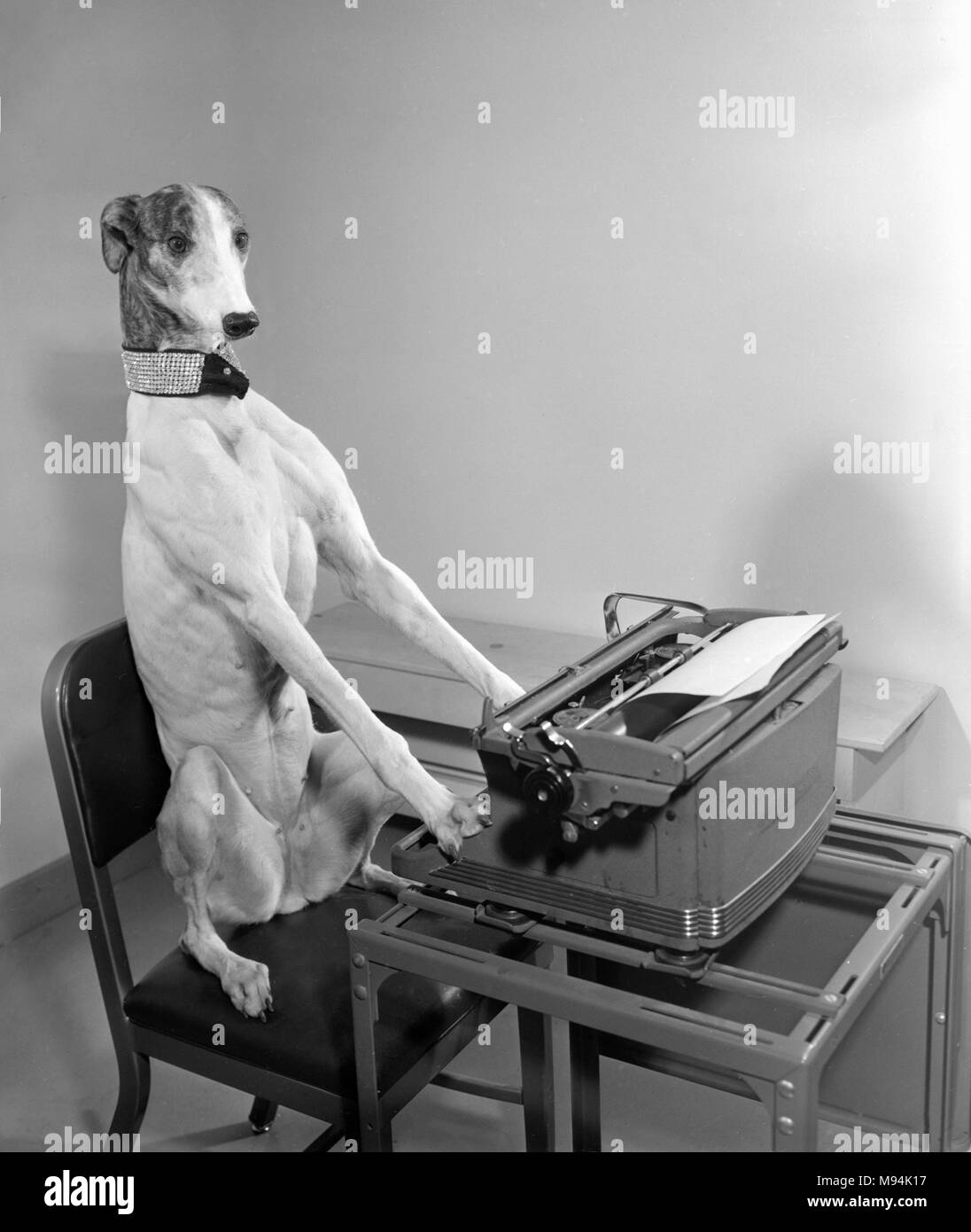 Typewriter 1950s hi-res stock photography and images - Alamy