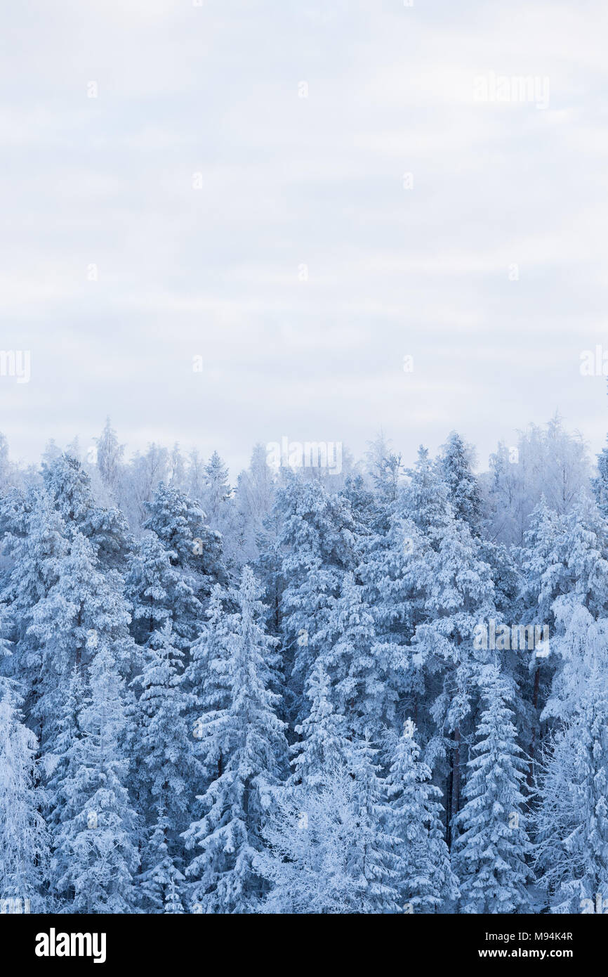 Frost covered treetops hi-res stock photography and images - Alamy