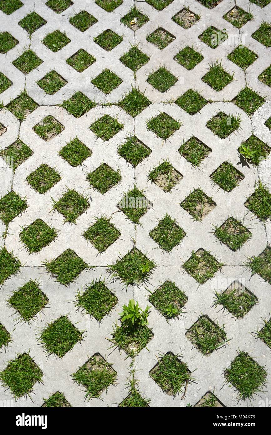 New York, NY, USA: Grass growing through a checkerboard pattern of ...