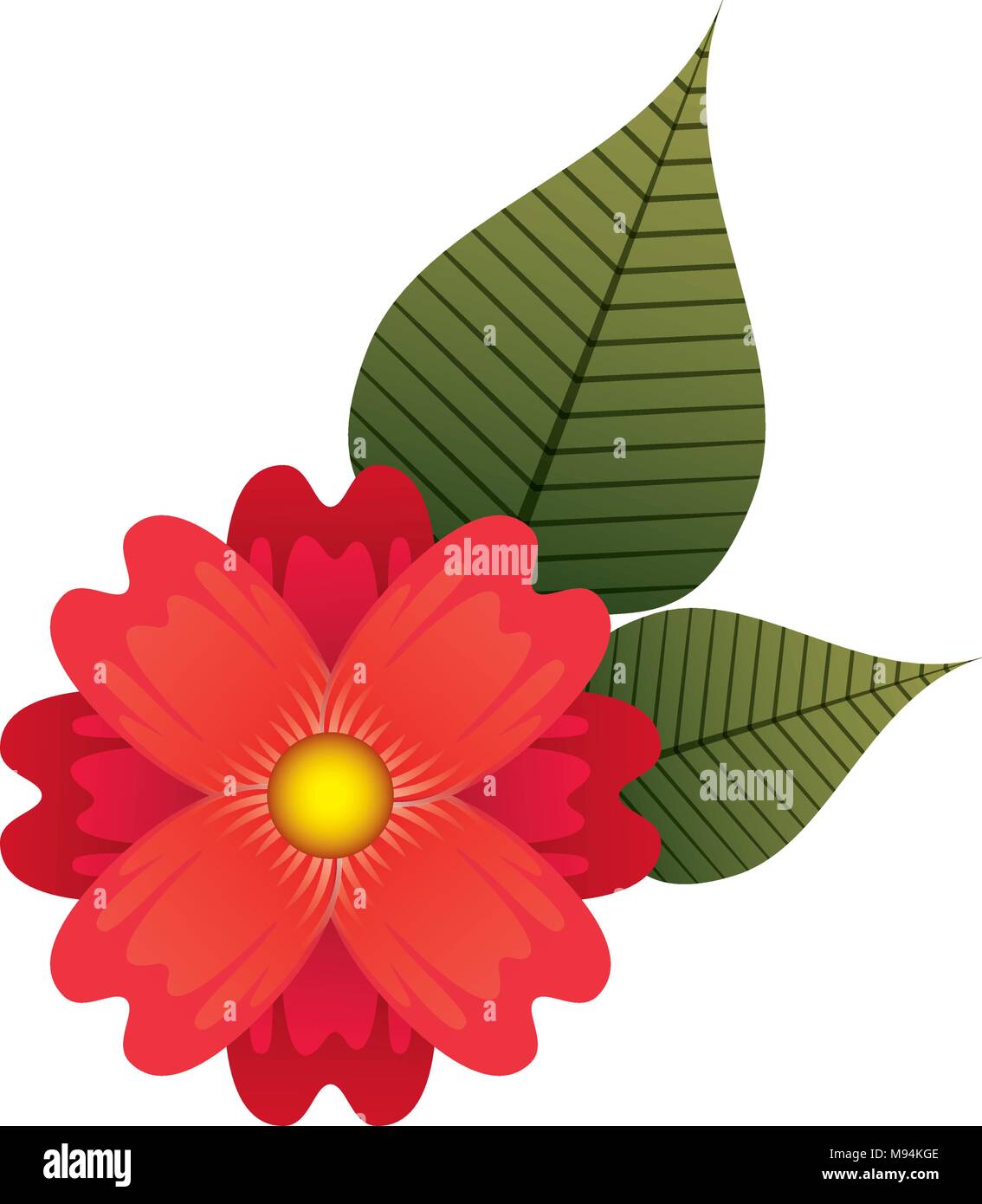 floral decoration design Stock Vector Image & Art - Alamy
