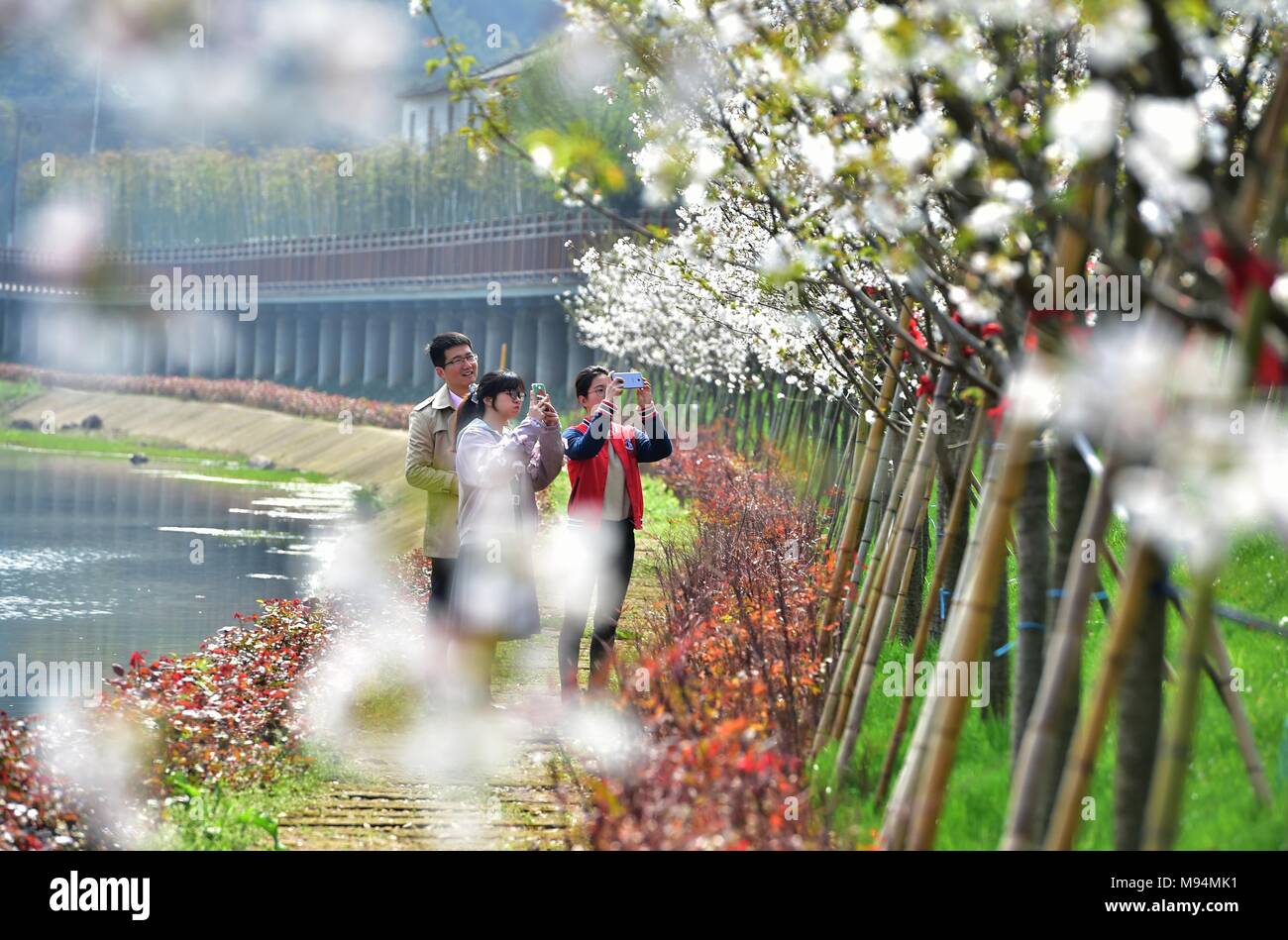 Lu bin hi-res stock photography and images - Alamy