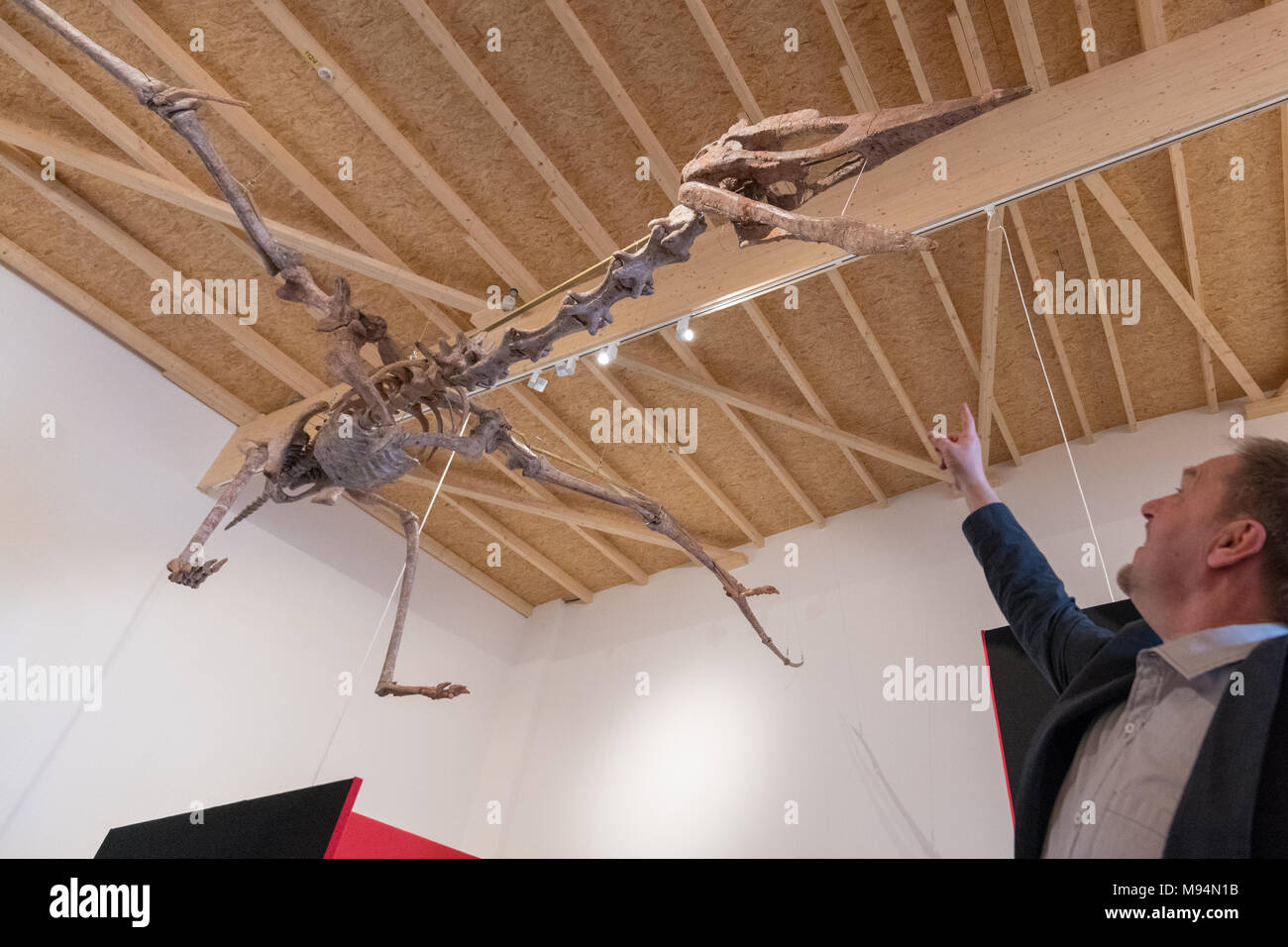 Denkendorf, Germany. 22 March 2018, The model of a huge flying dinosaur ...