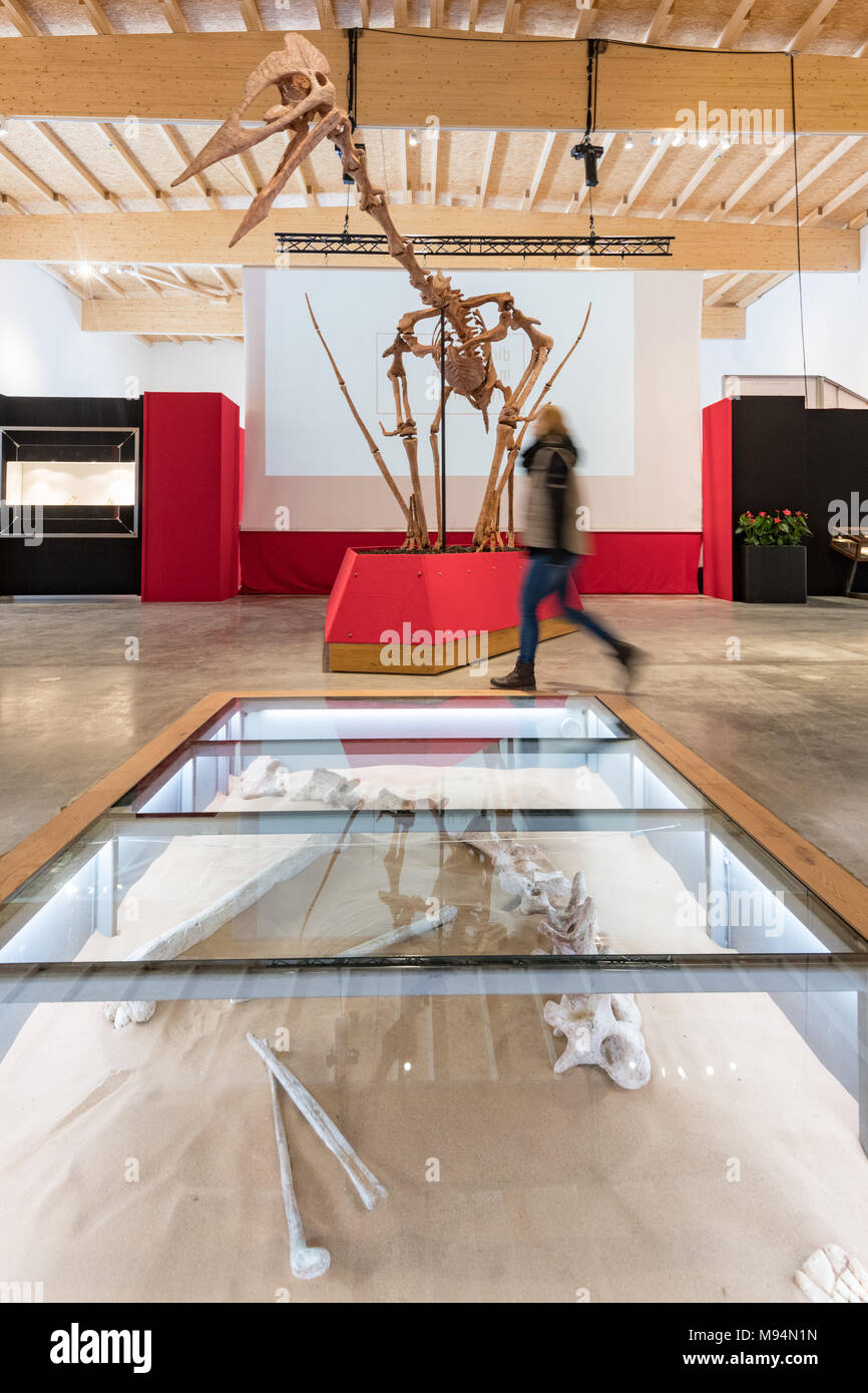 Denkendorf, Germany. 22 March 2018, The model of a huge flying dinosaur ...