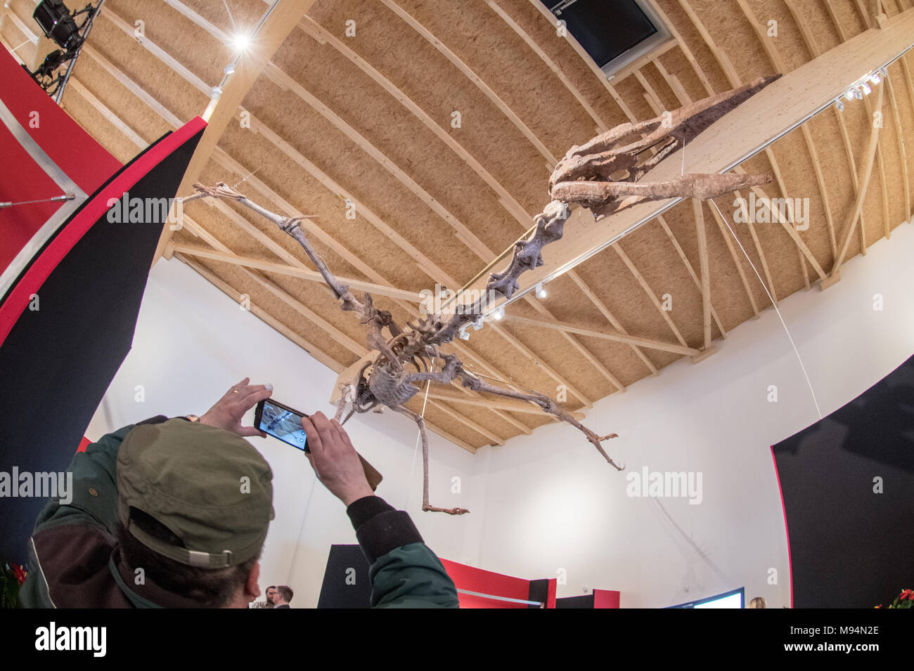 Denkendorf, Germany. 22 March 2018, The model of a huge flying dinosaur ...