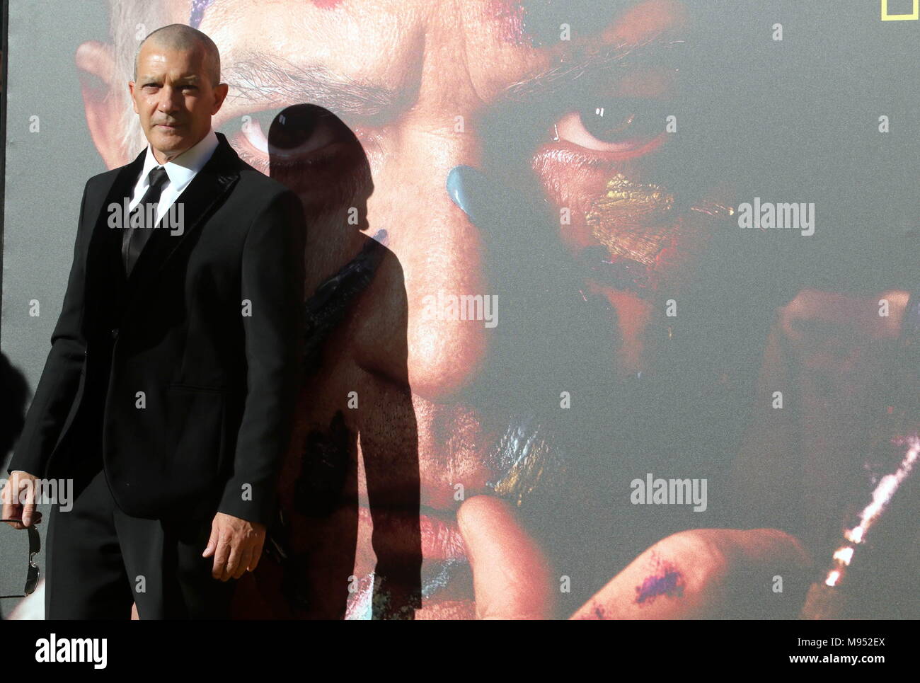 March 22, 2018 - March 22, 2018 (Malaga) premier of the film ''Genius ...