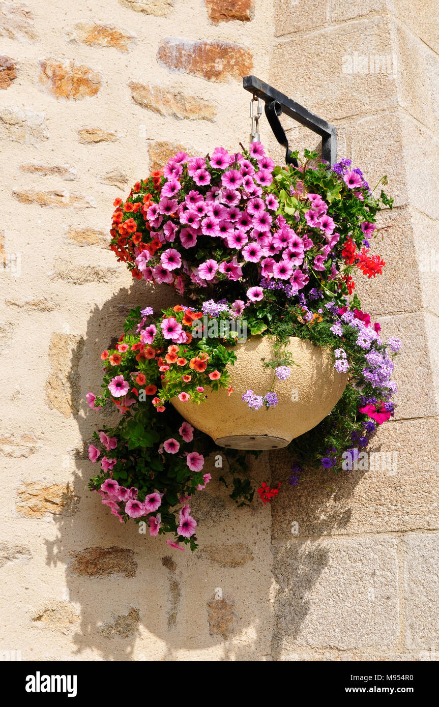 Flower pot hanging on a stone wall Stock Photo - Alamy