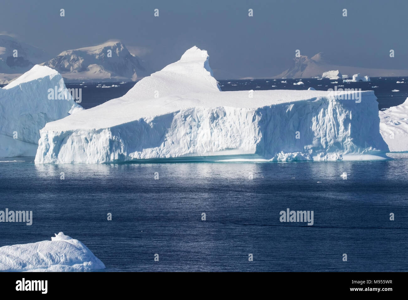 iceberg and seascape George's Point, Antarctica Stock Photo - Alamy