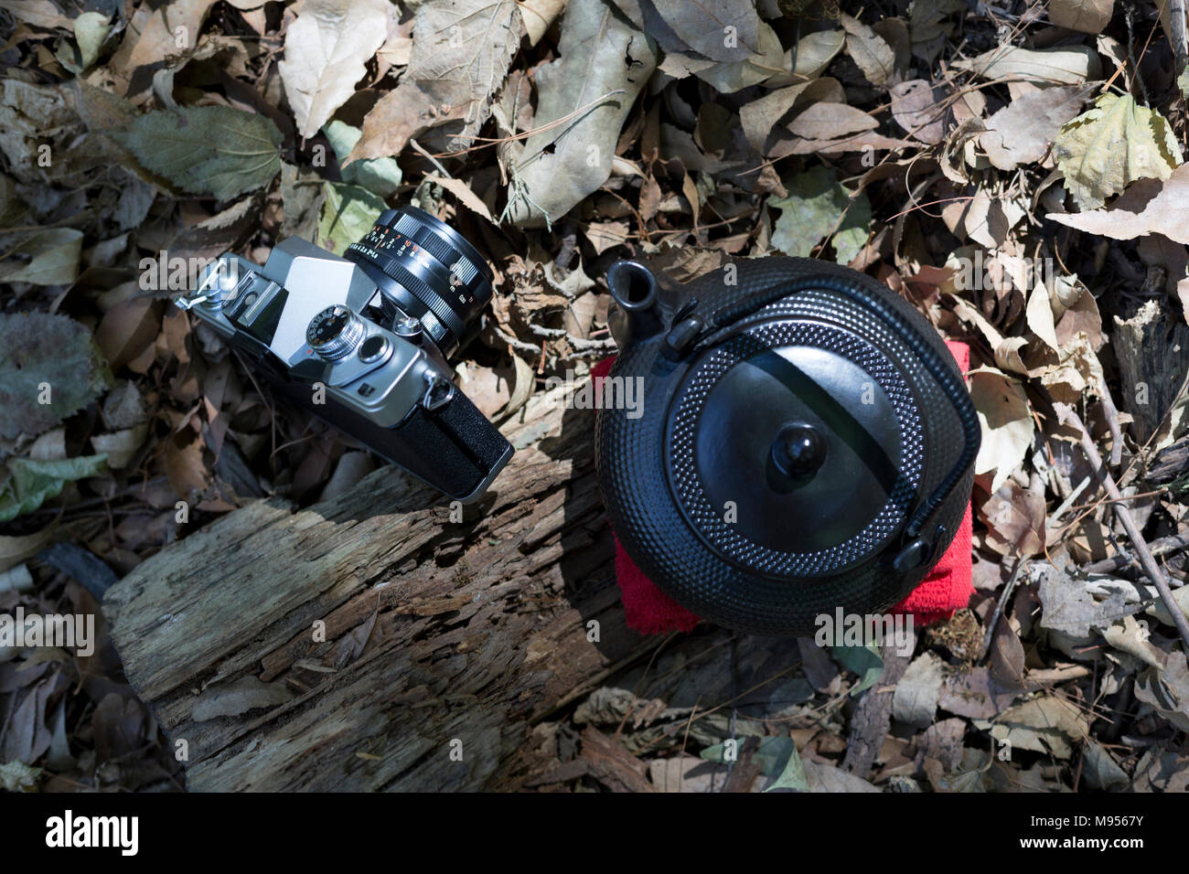 teapot and camera vintage Stock Photo - Alamy