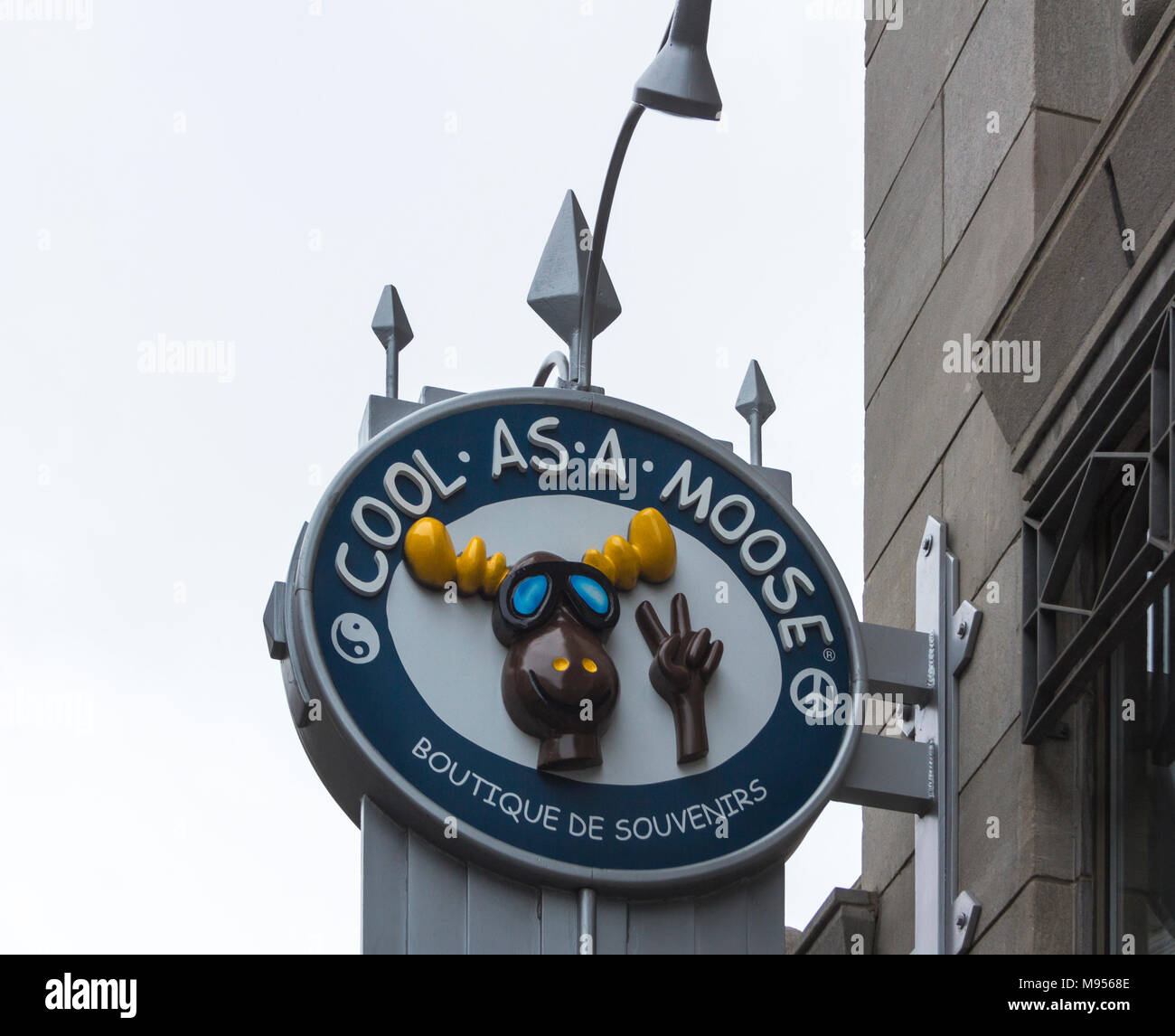 Cool as a Moose shop sign in old Quebec City, Quebec, Canada Stock ...