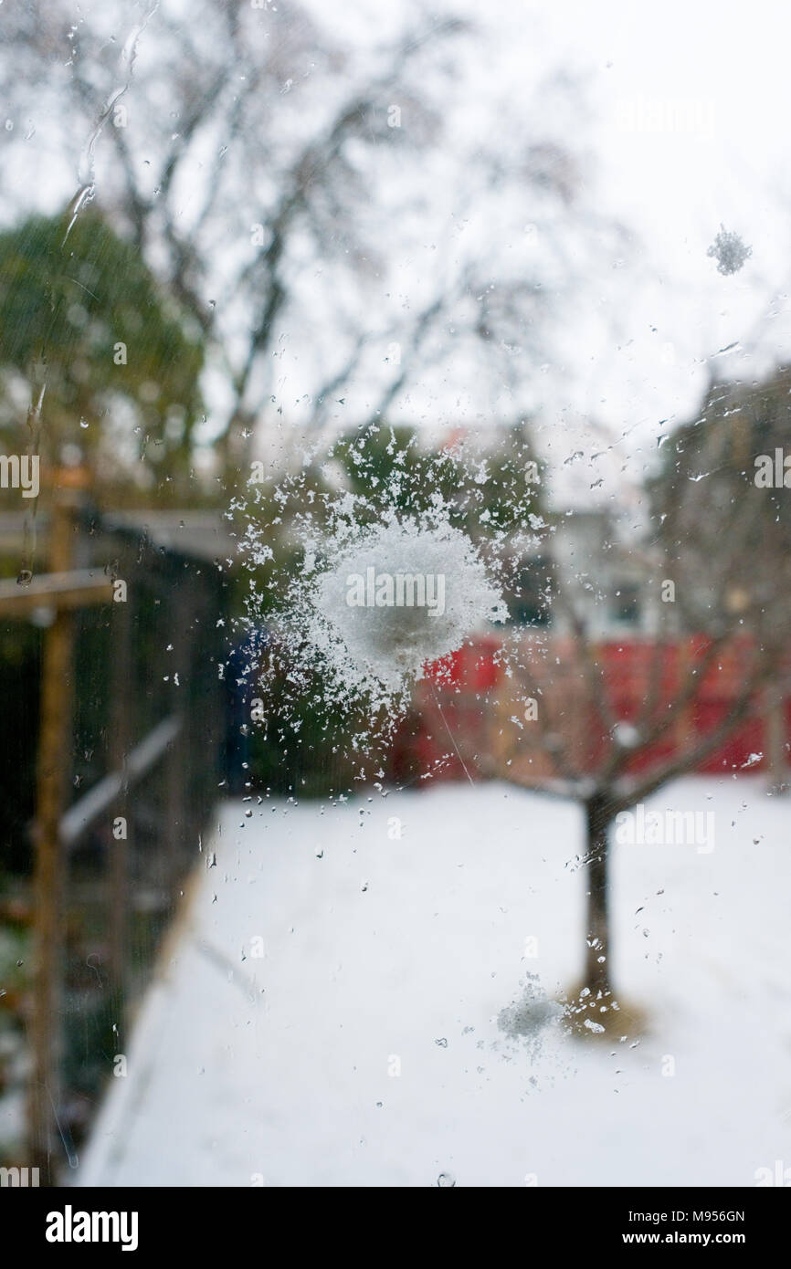 Snowball splat hi-res stock photography and images - Alamy