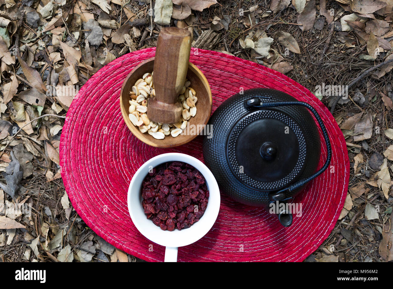teapot and camera vintage Stock Photo - Alamy