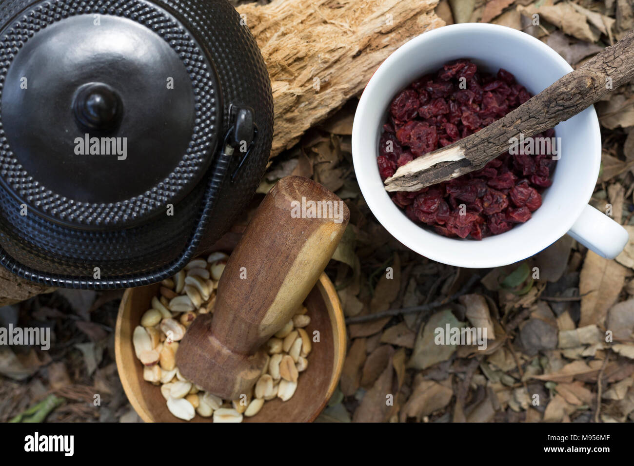 teapot and camera vintage Stock Photo - Alamy