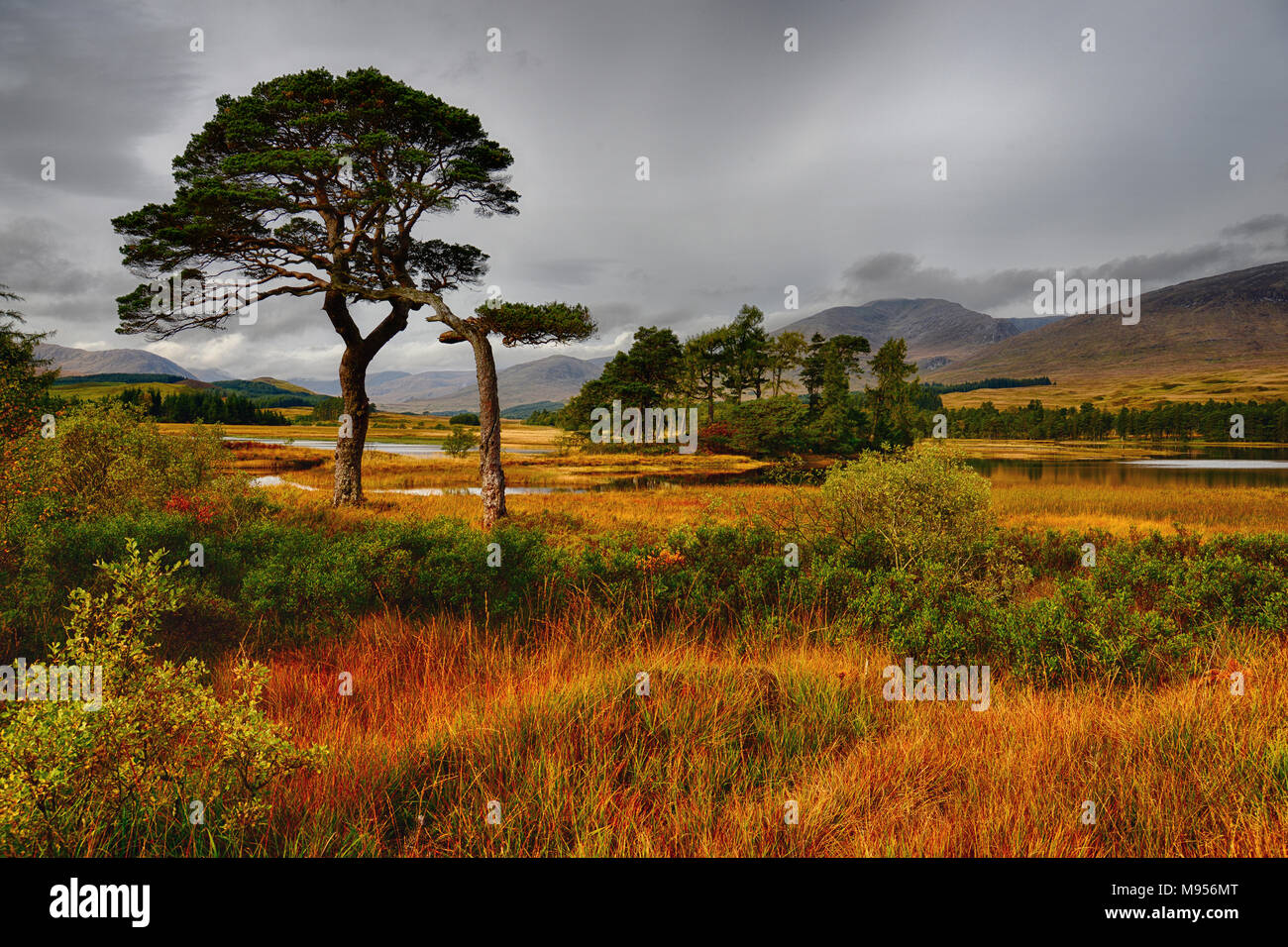 Orchy River Bridge High Resolution Stock Photography and Images - Alamy