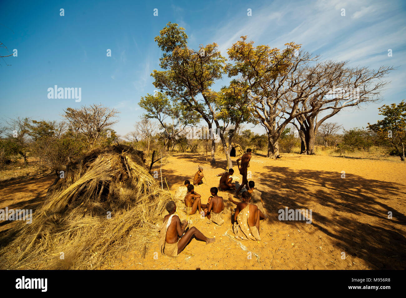 Ju/'Hoansi or San bushmen in daily activities making bow and arrows at ...