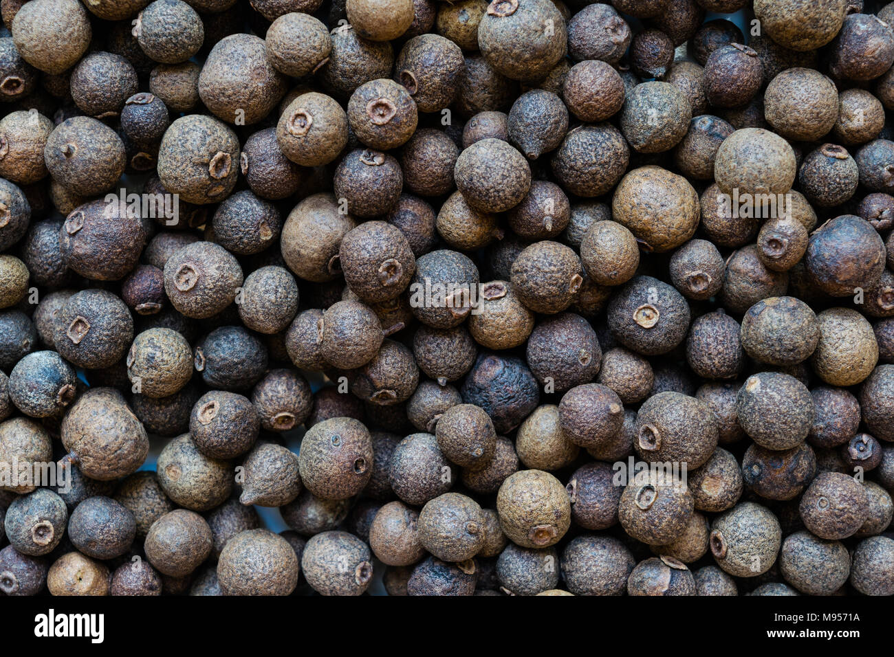 Peppers round hi-res stock photography and images - Alamy