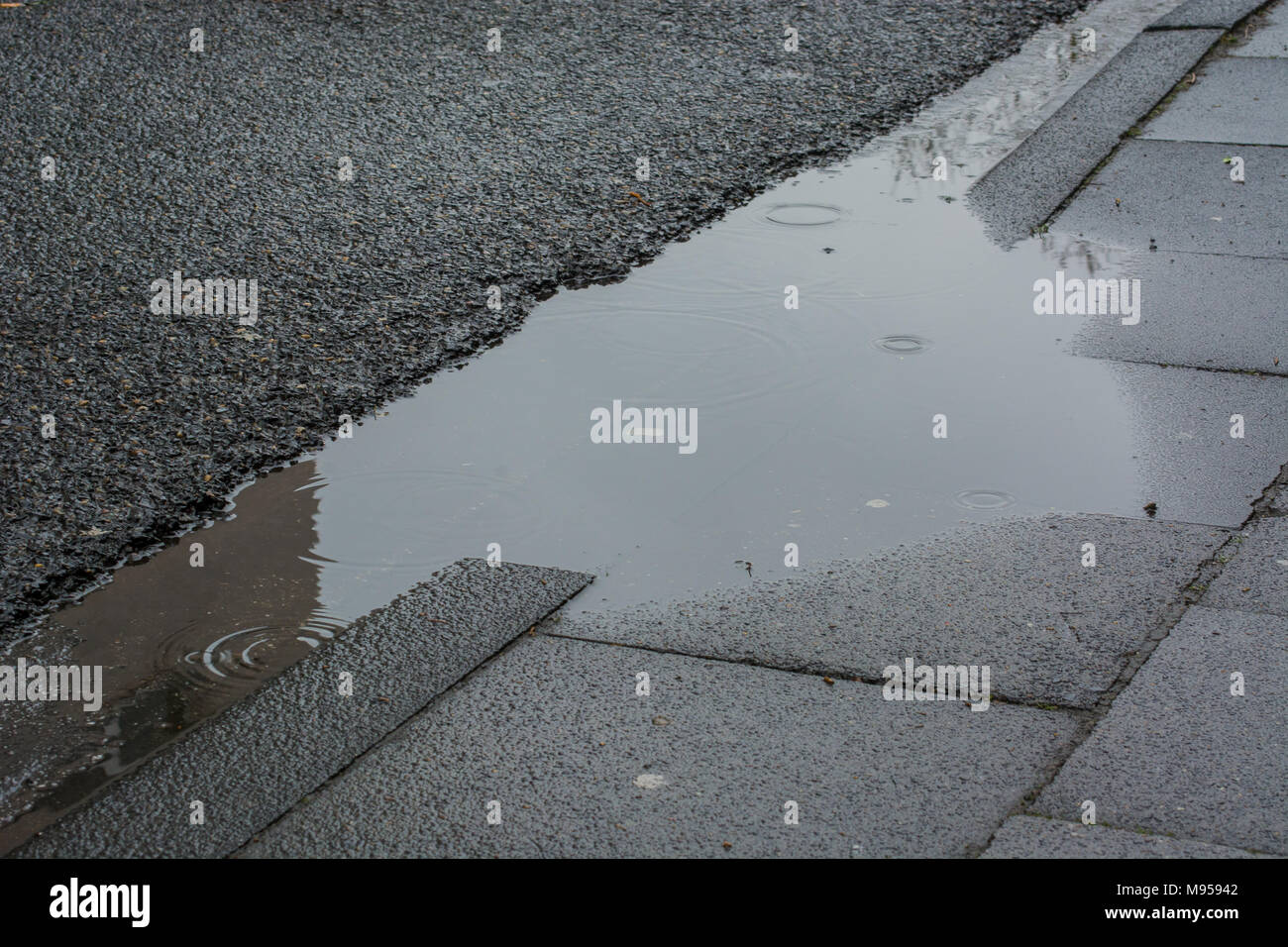 rain puddle, water drips and grey pavement Stock Photo - Alamy