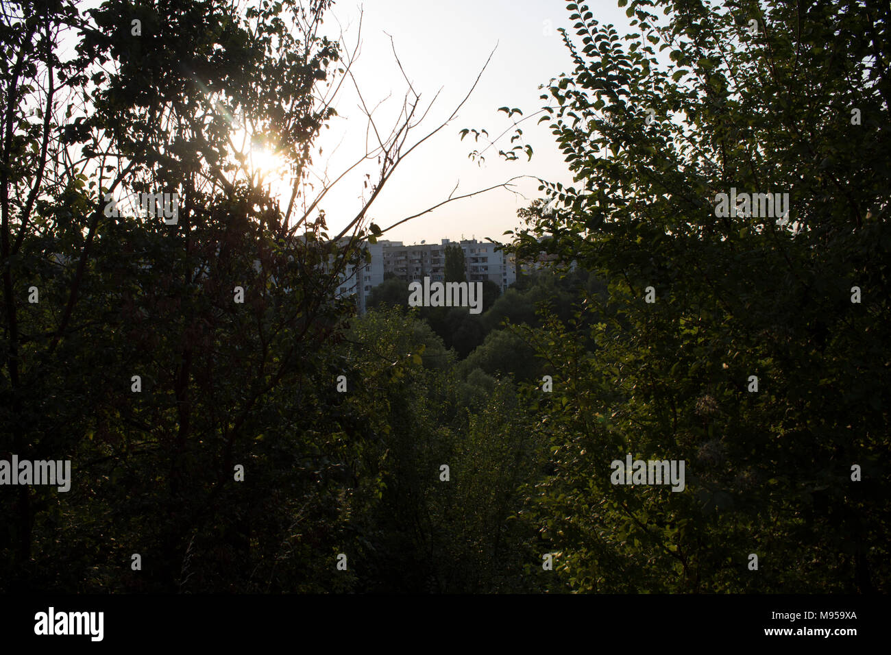 View to apartment buildings through trees Stock Photo - Alamy