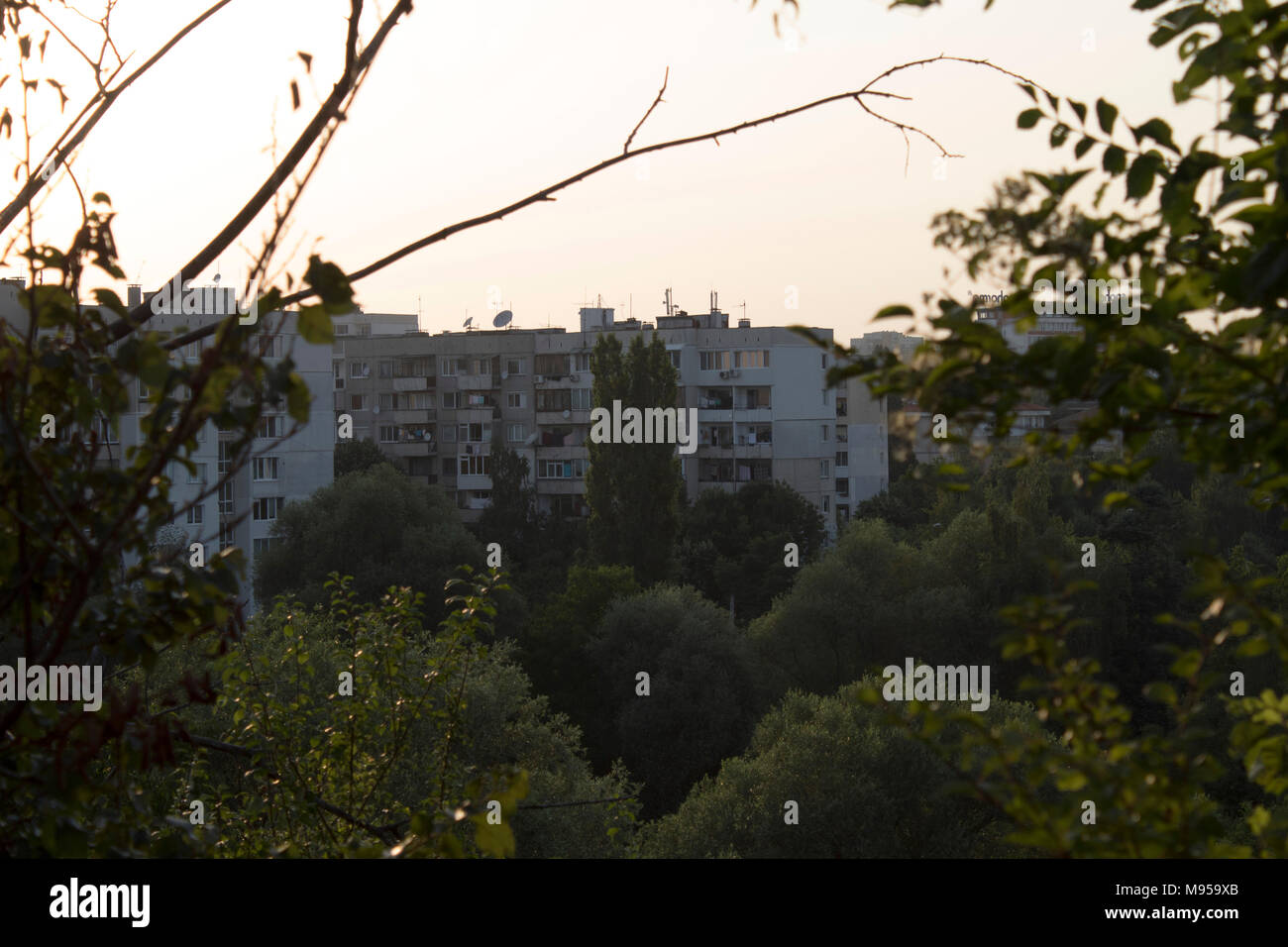 View to apartment buildings through trees Stock Photo - Alamy