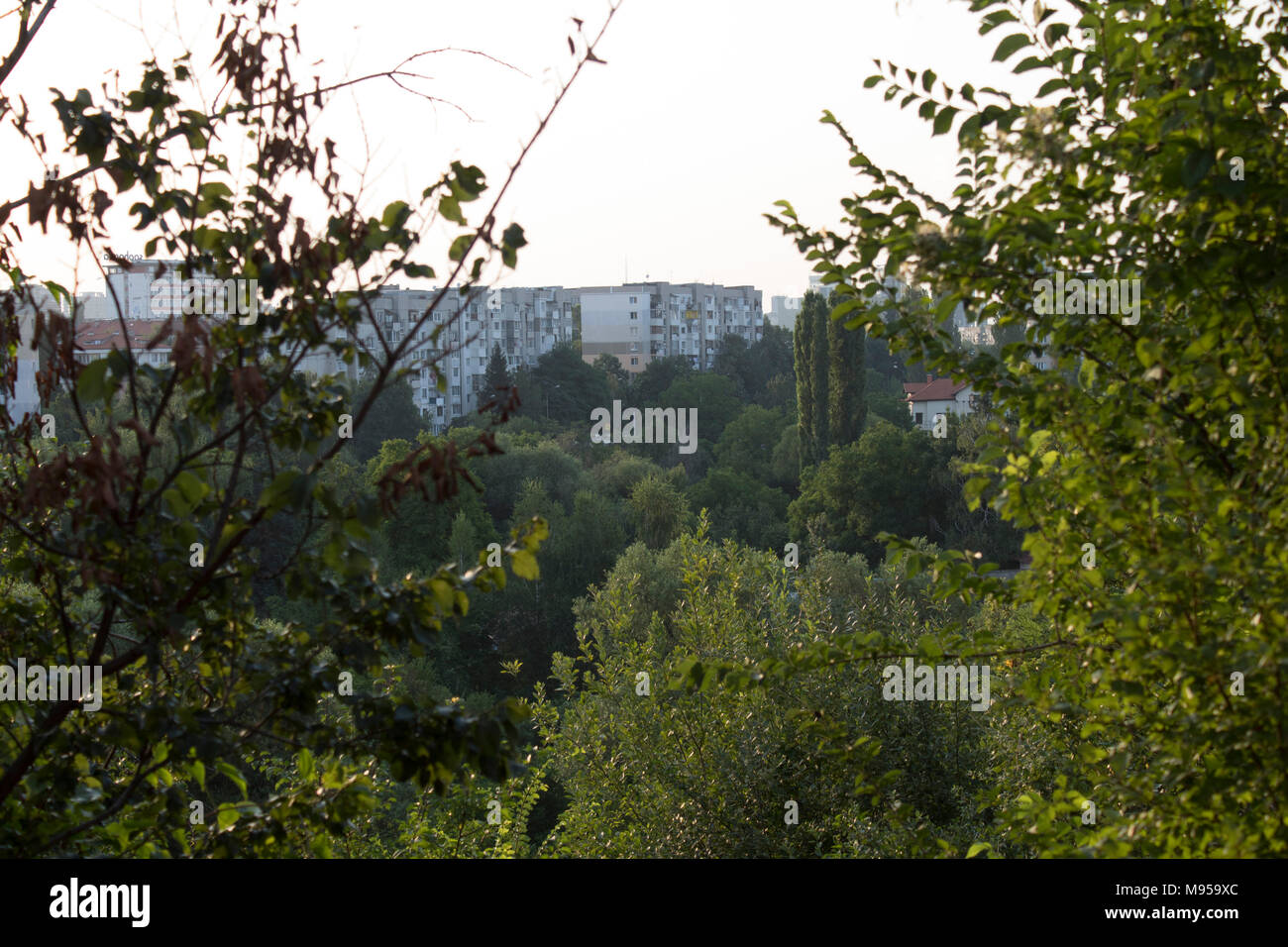 View to apartment buildings through trees Stock Photo - Alamy
