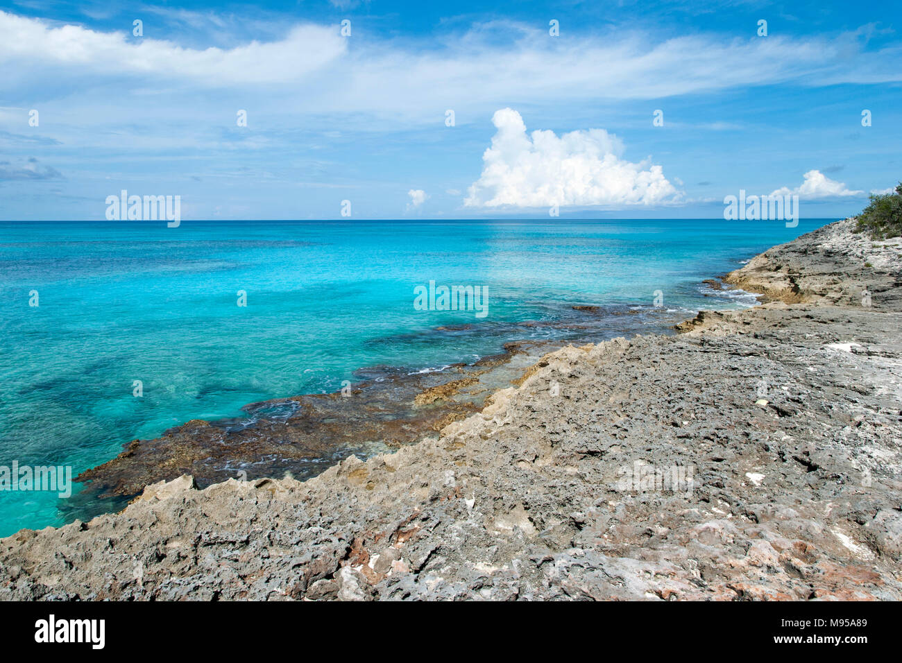 Sharp rocky coastline and transparent waters on uninhabited island Half ...