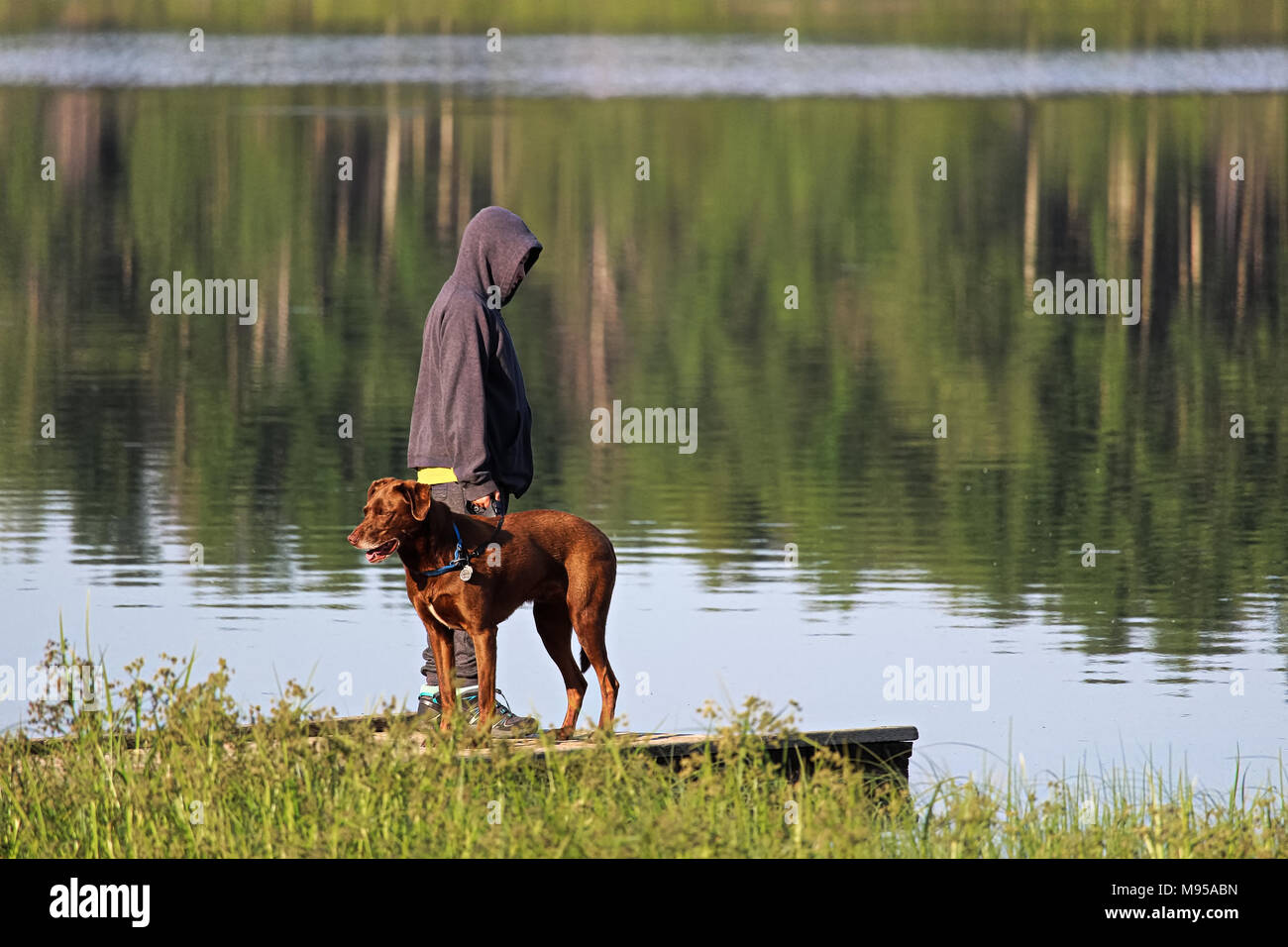 A young boy on a dock with his dog Stock Photo - Alamy