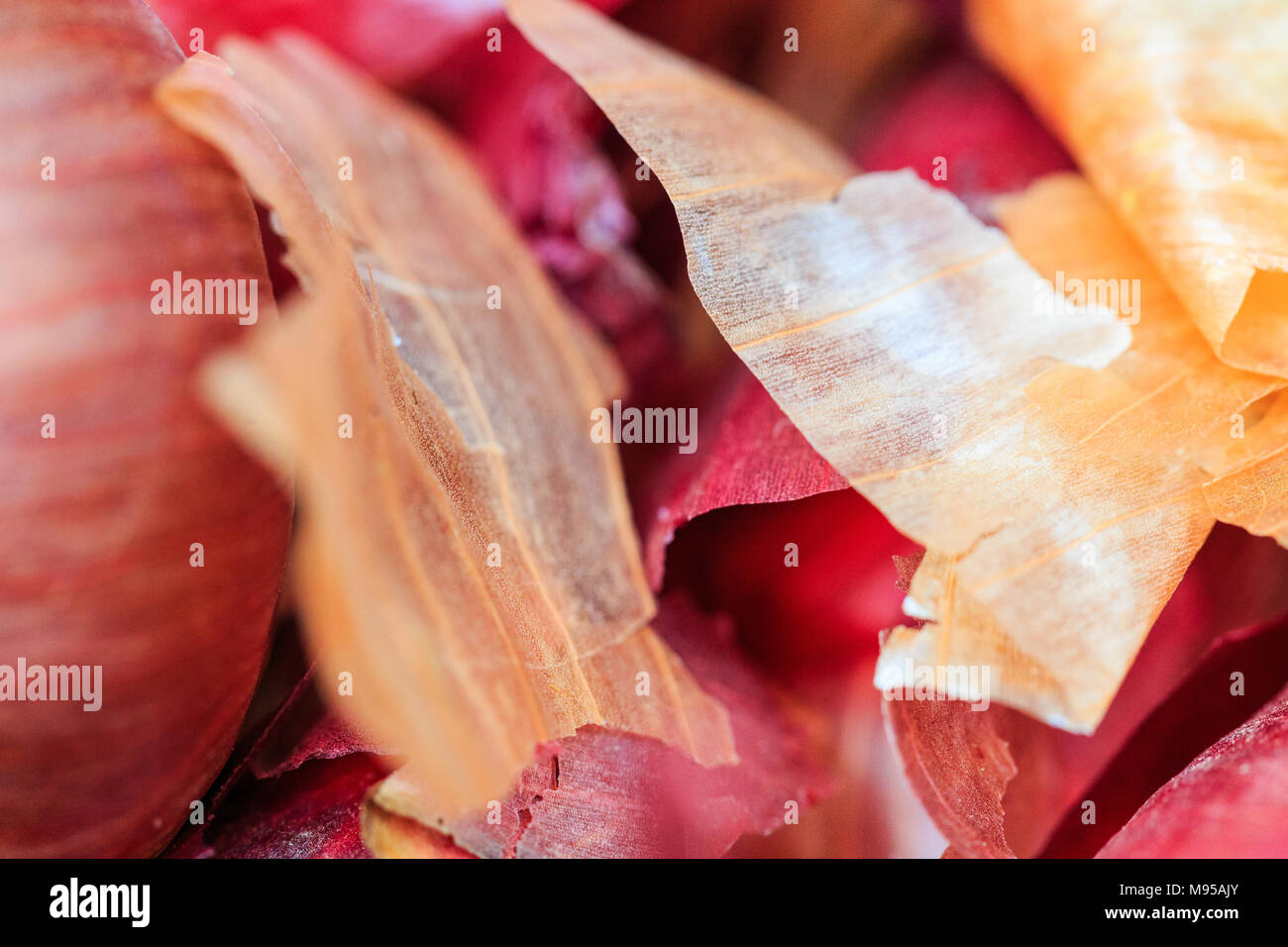 Onion skins hi-res stock photography and images - Alamy