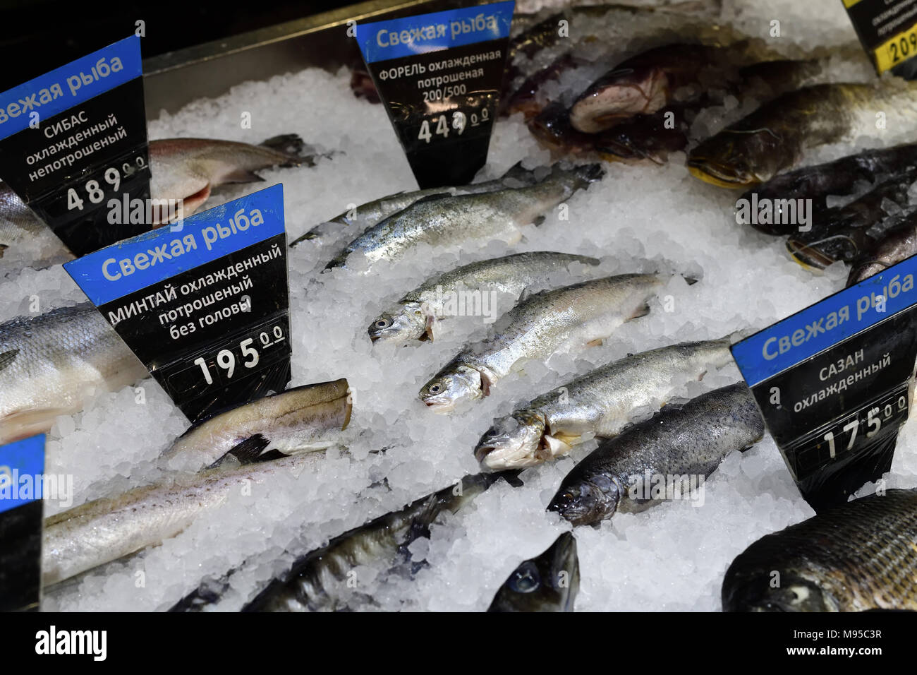 white fish. On the price tags in Russian, fresh fish are written. No ...