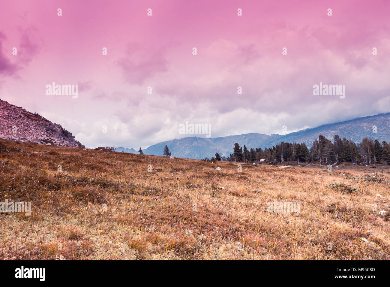 Gentle hill walking hi-res stock photography and images - Alamy