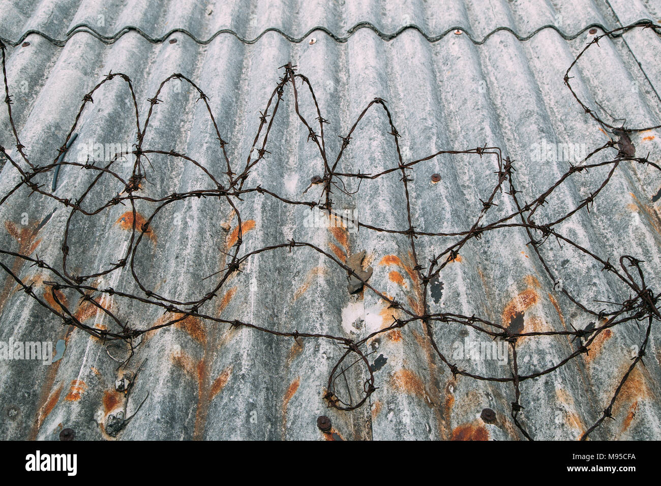 Barbed wire entanglement hi-res stock photography and images - Alamy