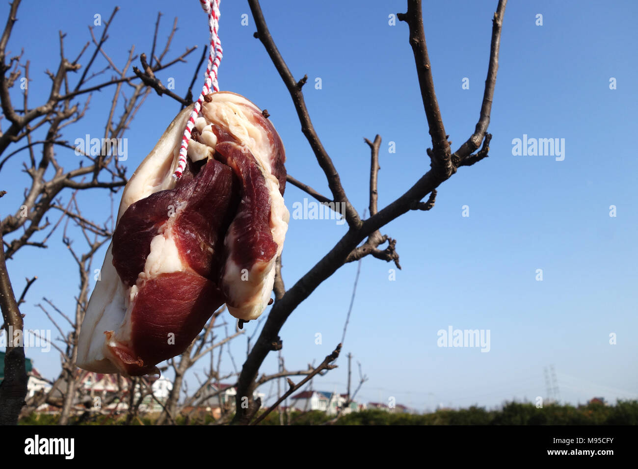 Waxed meat hi-res stock photography and images - Alamy