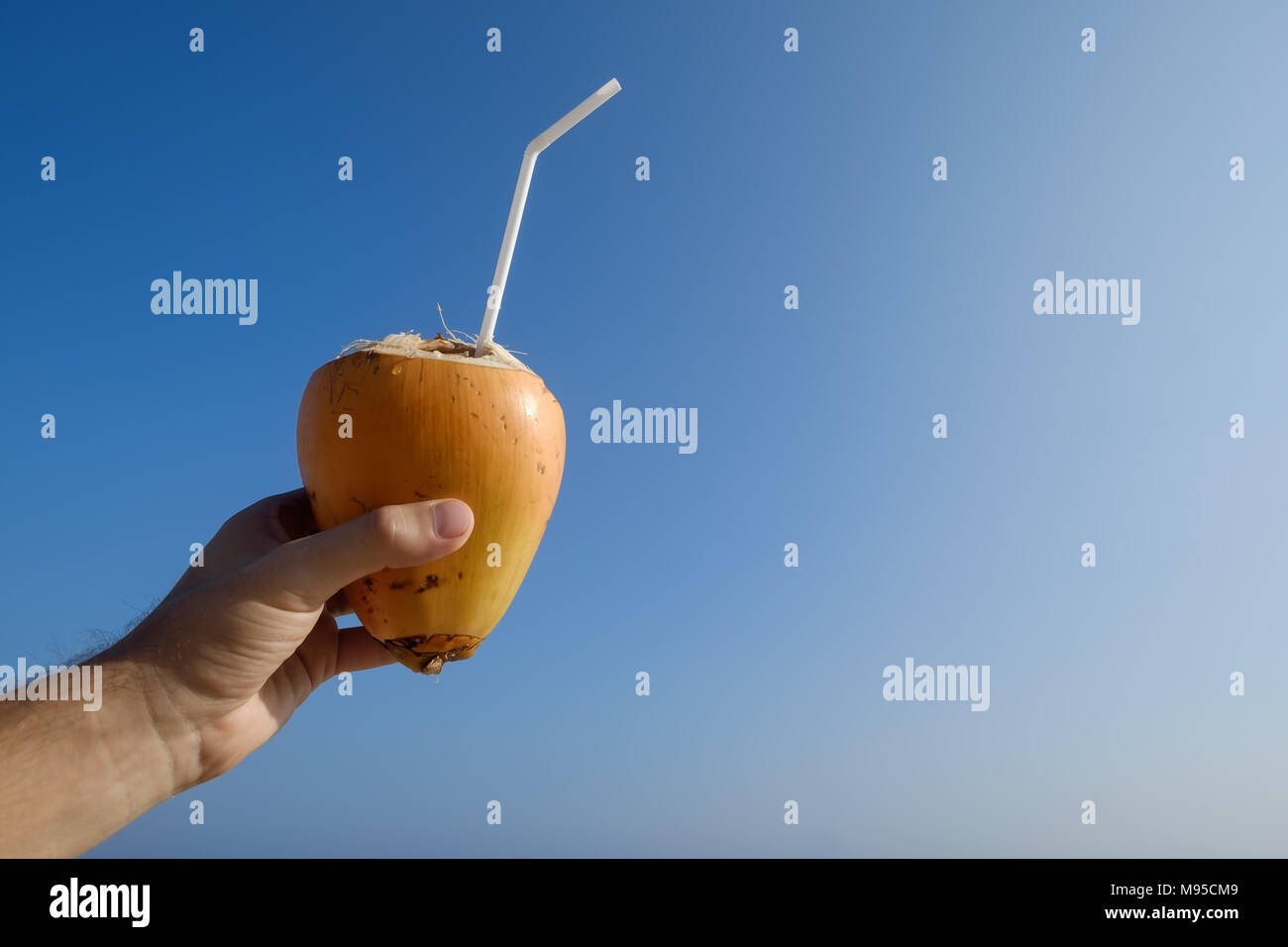 Hand holding coconut on beach hi-res stock photography and images - Alamy