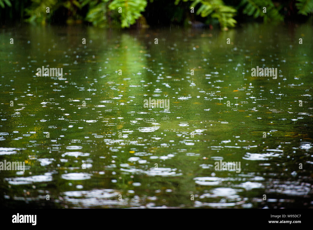Blue sky rain puddle hi-res stock photography and images - Alamy
