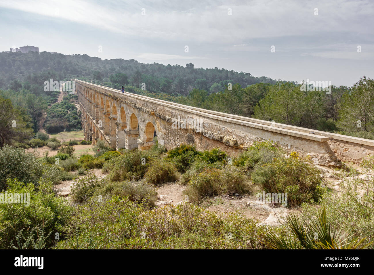 Profile deep hi-res stock photography and images - Alamy