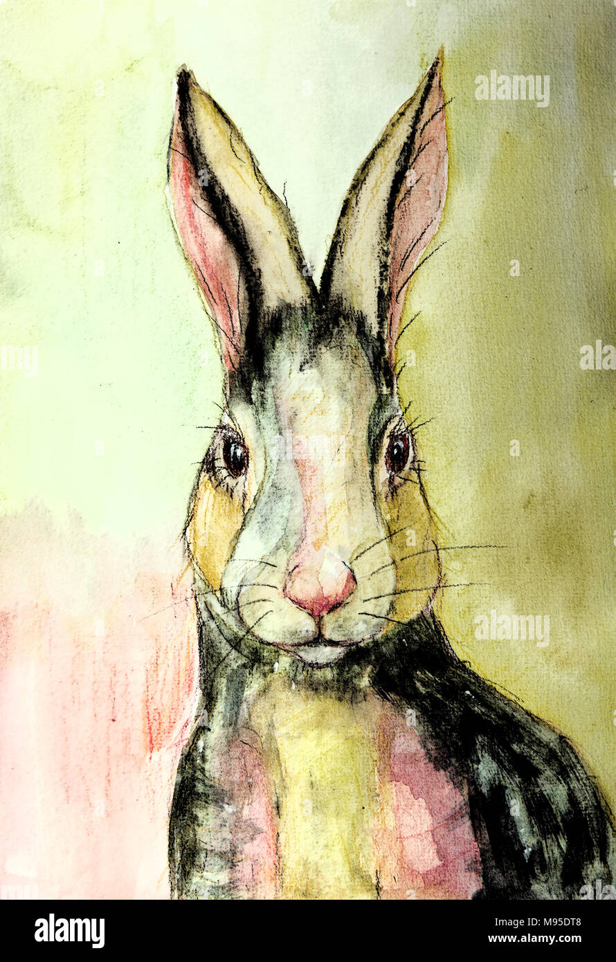 Colored charcoal drawing of a rabbit on a yellow and green background ...