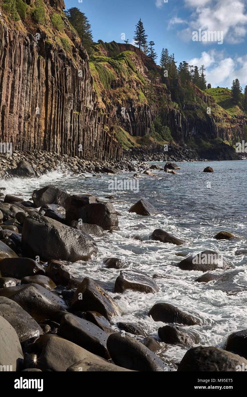 Cliff face of Cascade Bay,Norfolk Island,Australia with Norfolk pine ...