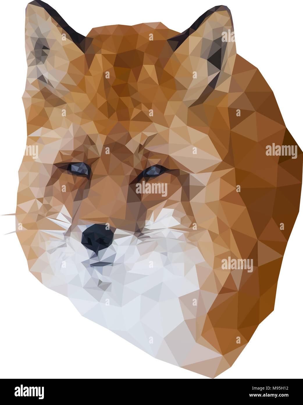low poly fox on white background Stock Photo - Alamy