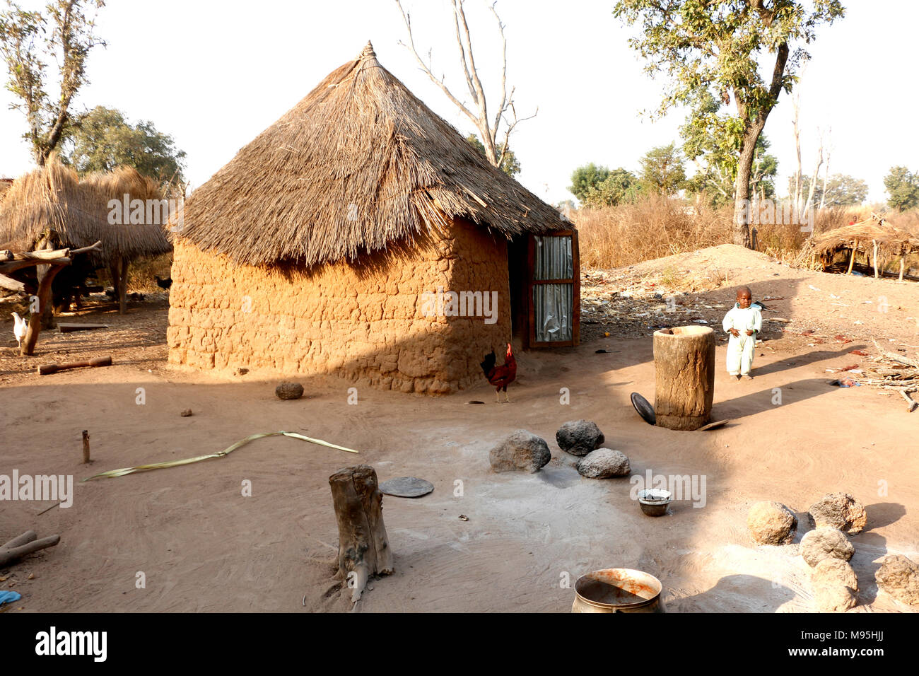 Homes Of Benin Africa