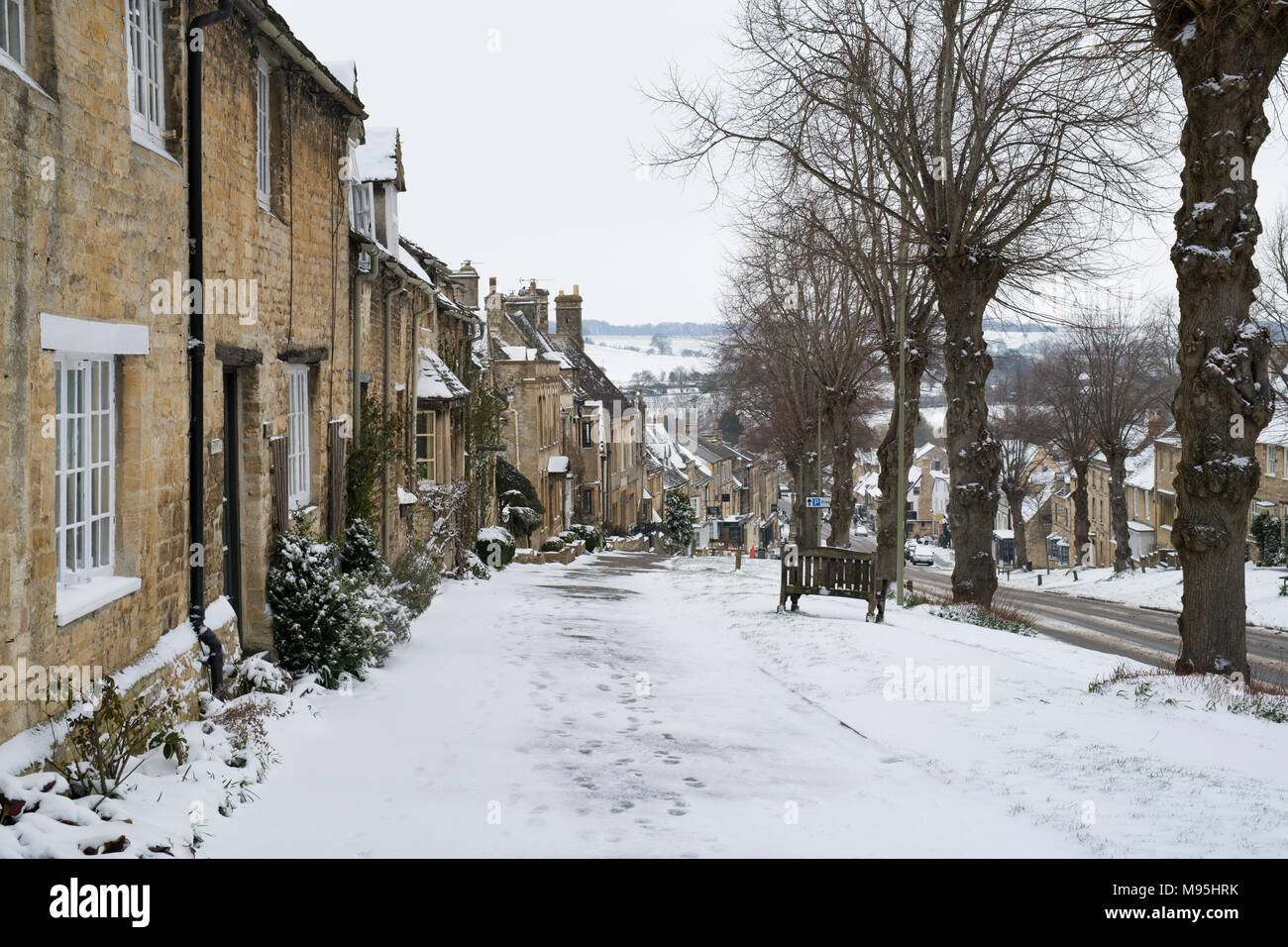 Snowed down trees hi-res stock photography and images - Alamy
