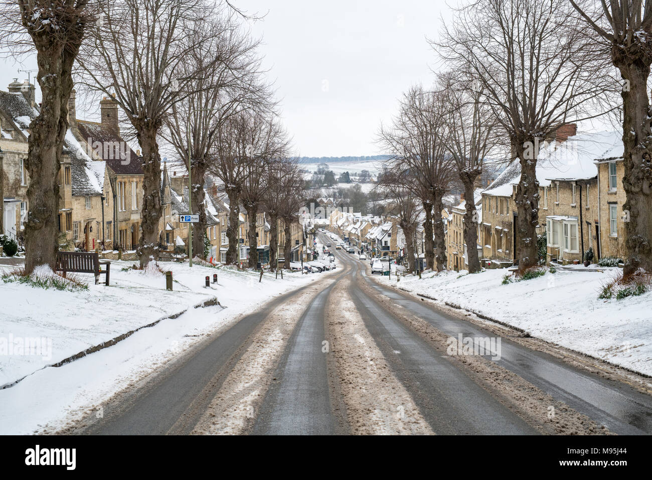 Down tree lined street hi-res stock photography and images - Alamy